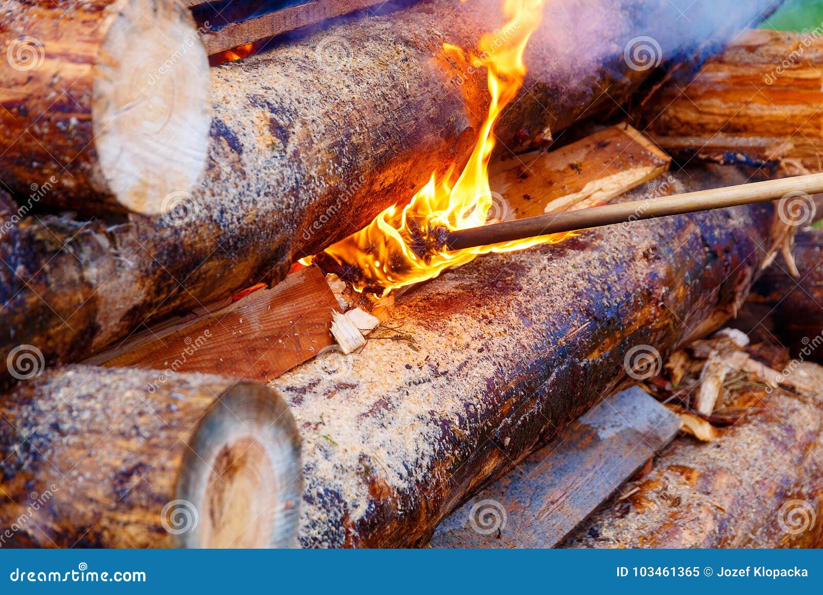 Setting Big Bonfire Made of Logs on Fire with Torch. Stock Image ...