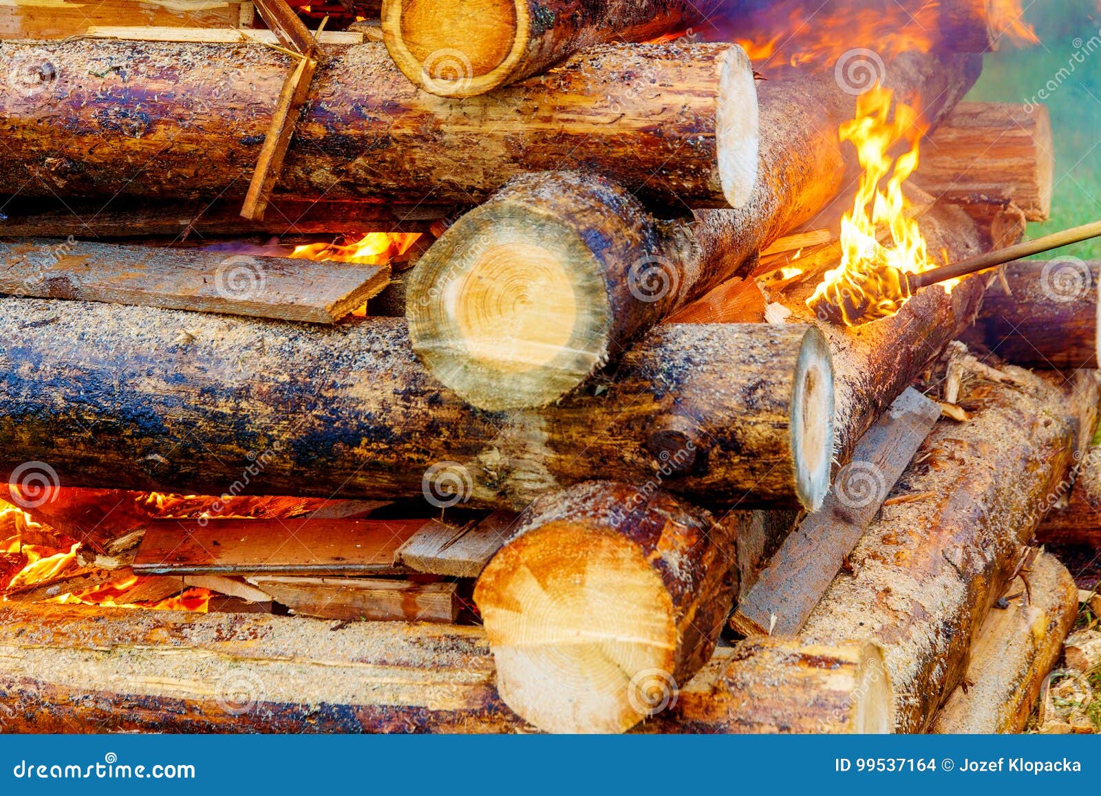 Setting Big Bonfire Made of Logs on Fire with Torch. Stock Photo ...