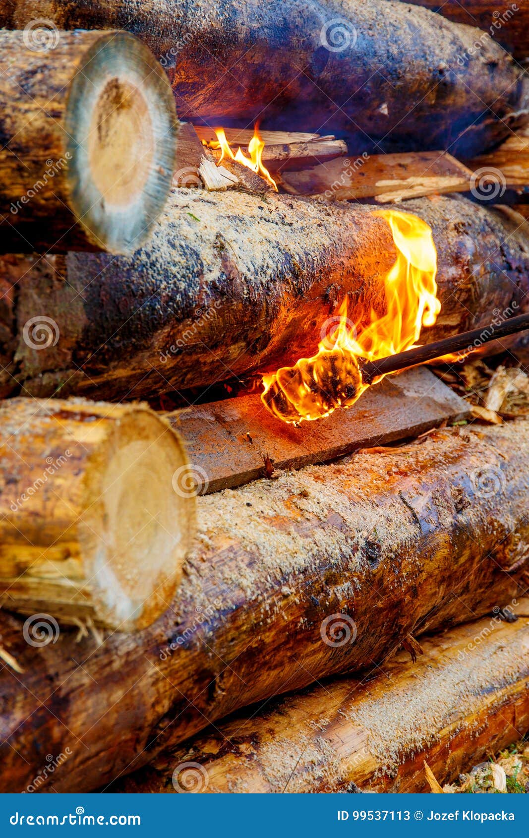 Setting Big Bonfire Made of Logs on Fire with Torch. Stock Image ...