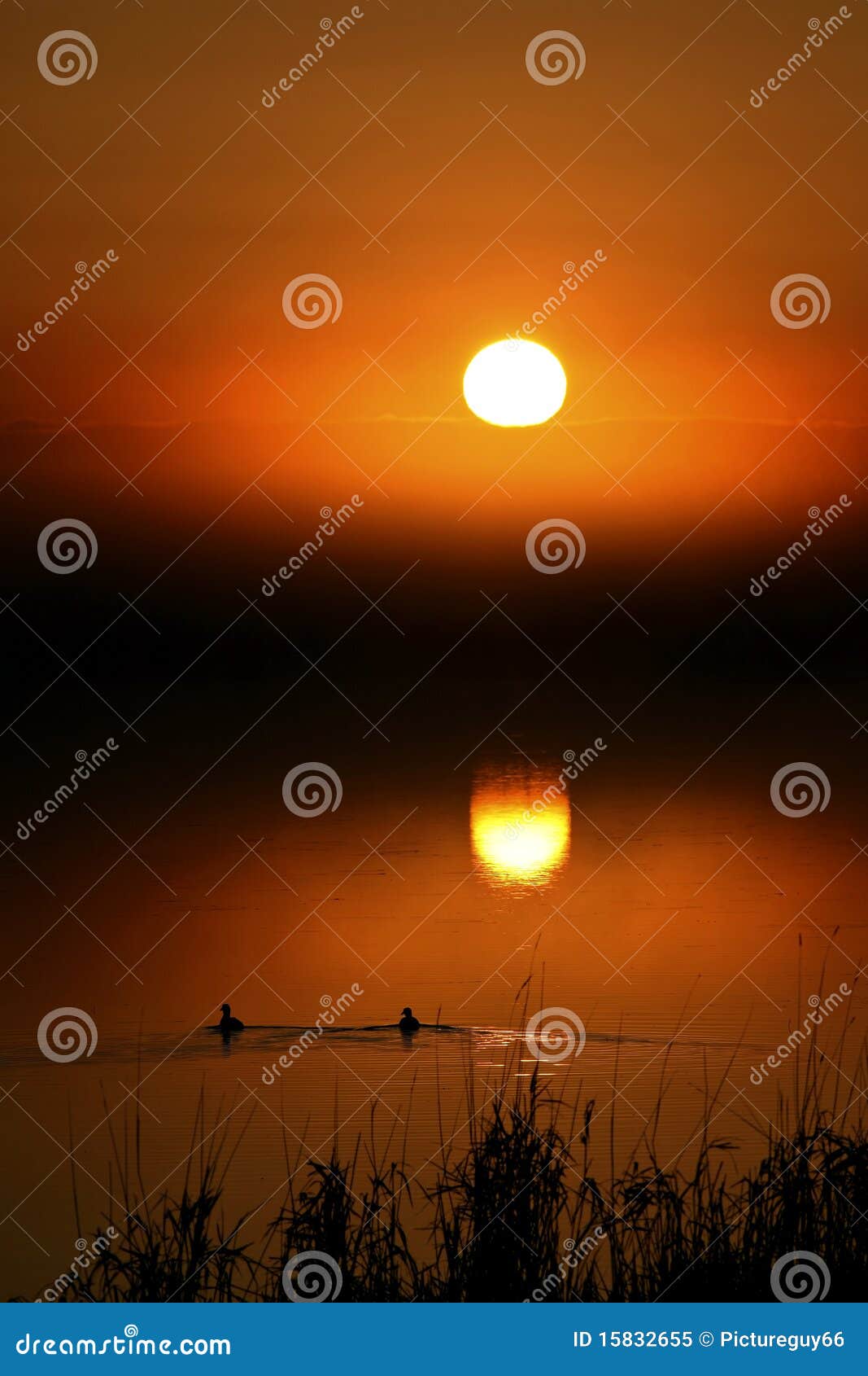 Setting sun stock image. Image of sunrise, beauty, gold - 15832655