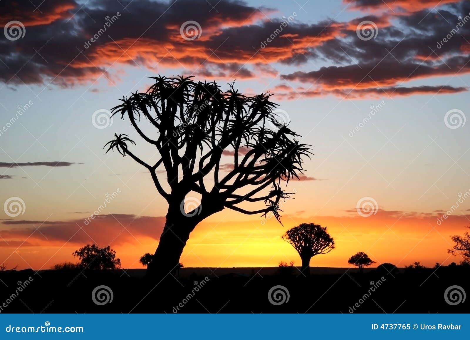 Setting sun stock image. Image of dramatic, silhouette - 4737765