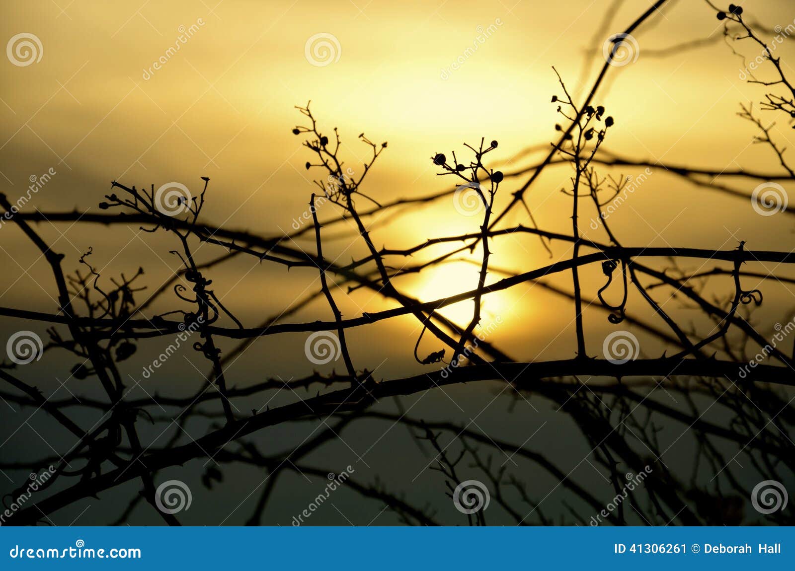 Setting of the Sun in Blue Skies Stock Image - Image of skies, yellow ...