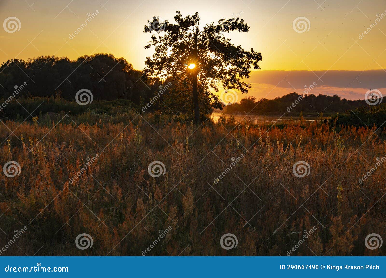 Vegetation in Shades of Red and Orange at Sunset Over the Bug River ...