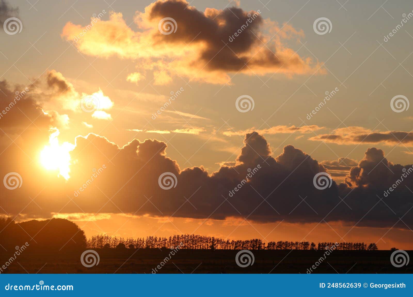 Sunset Clouds with Tree Silhouettes on Horizon Stock Image - Image of ...