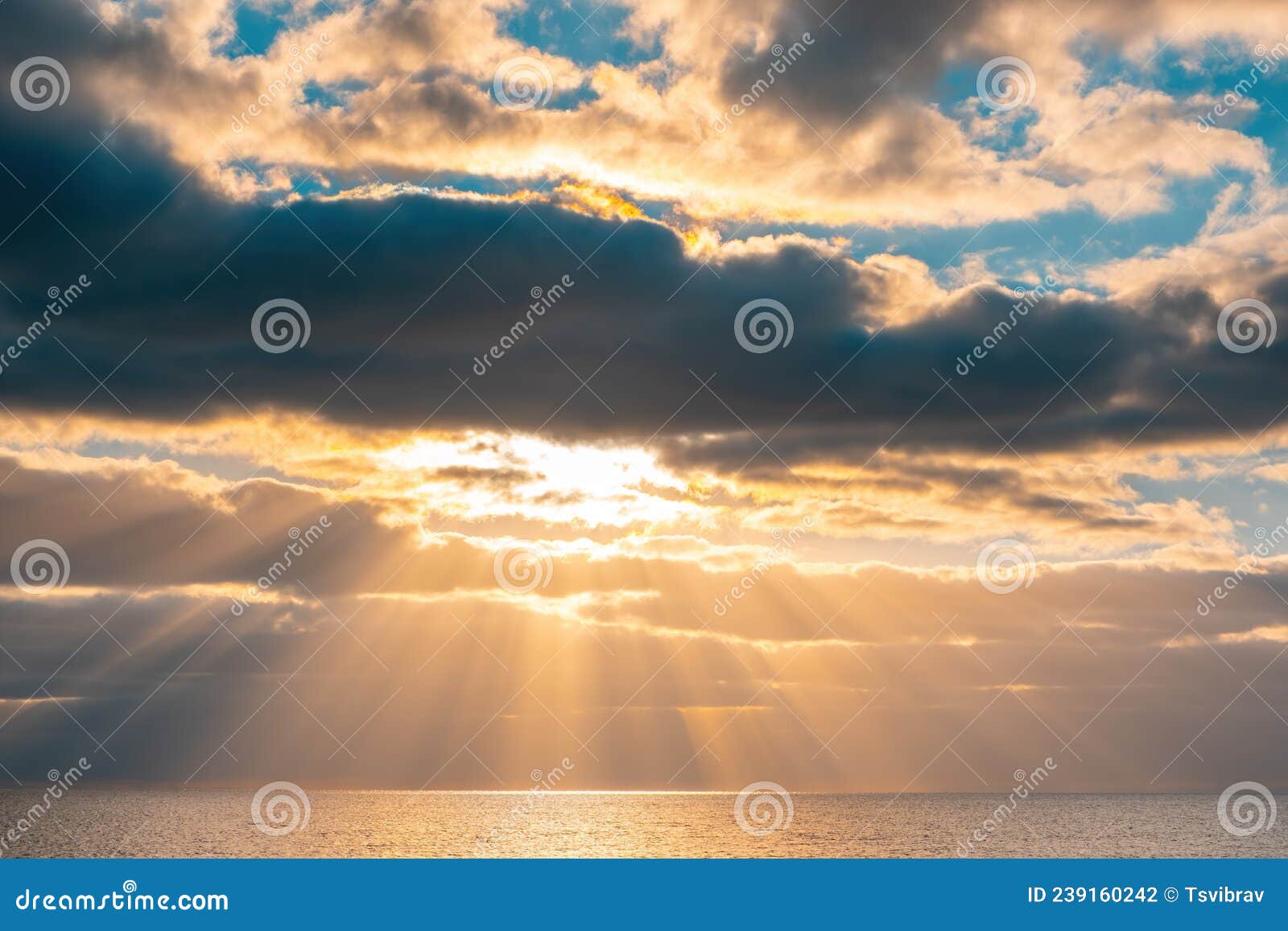 Sun Rays Beaming Through The Beautiful Trees Stock Photography ...