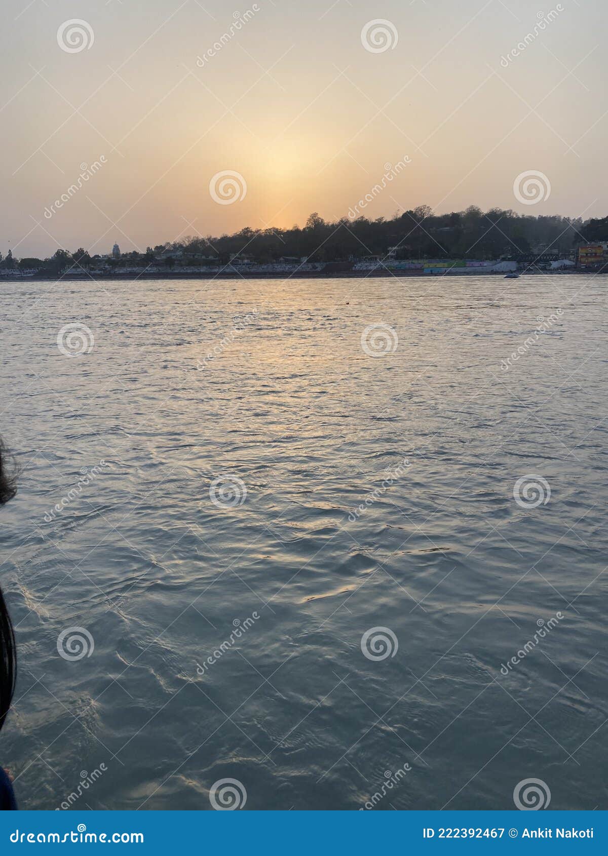 Setting Sun with Reflection of River Stock Image - Image of flowers ...