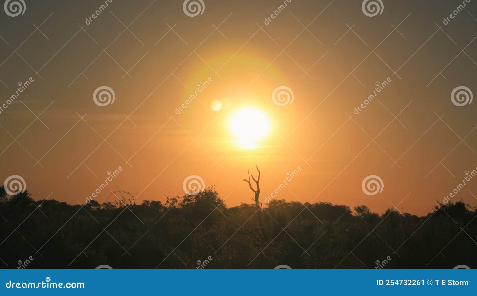 Setting Sun, Rising Moon, Sunset in the Okavango Delta Stock Image ...