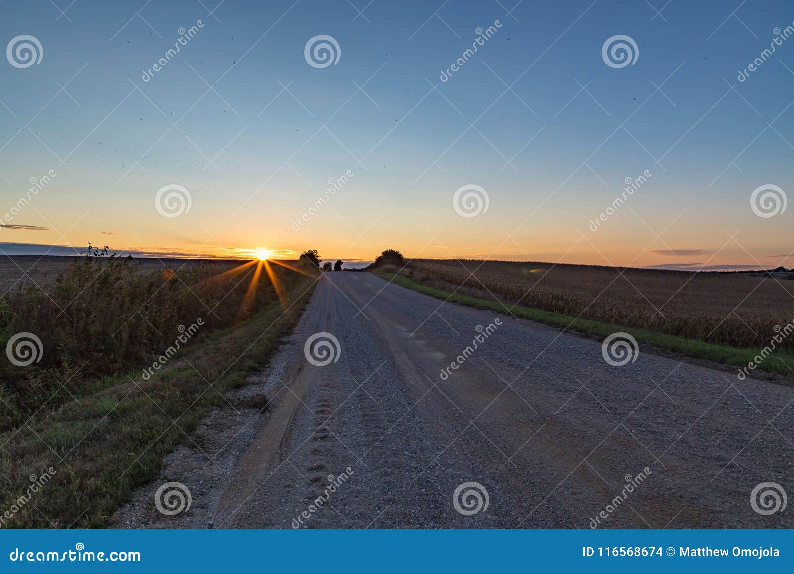 Setting Sun on a Rural Farm Stock Photo - Image of colors, rural: 116568674