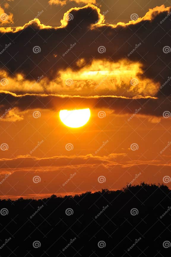 Setting sun and silhouette stock photo. Image of warmth - 25507120