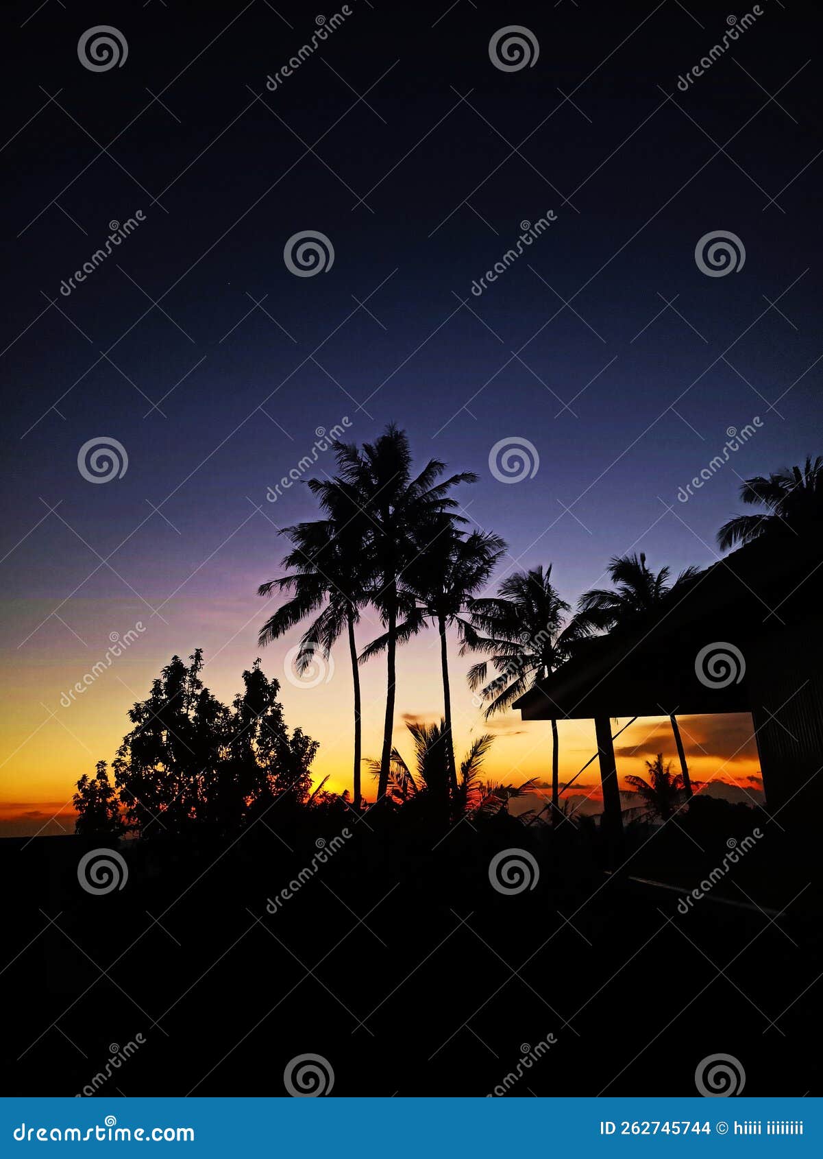 The Setting Sun Still Emits Bright Colors Behind the Trees Stock Photo ...