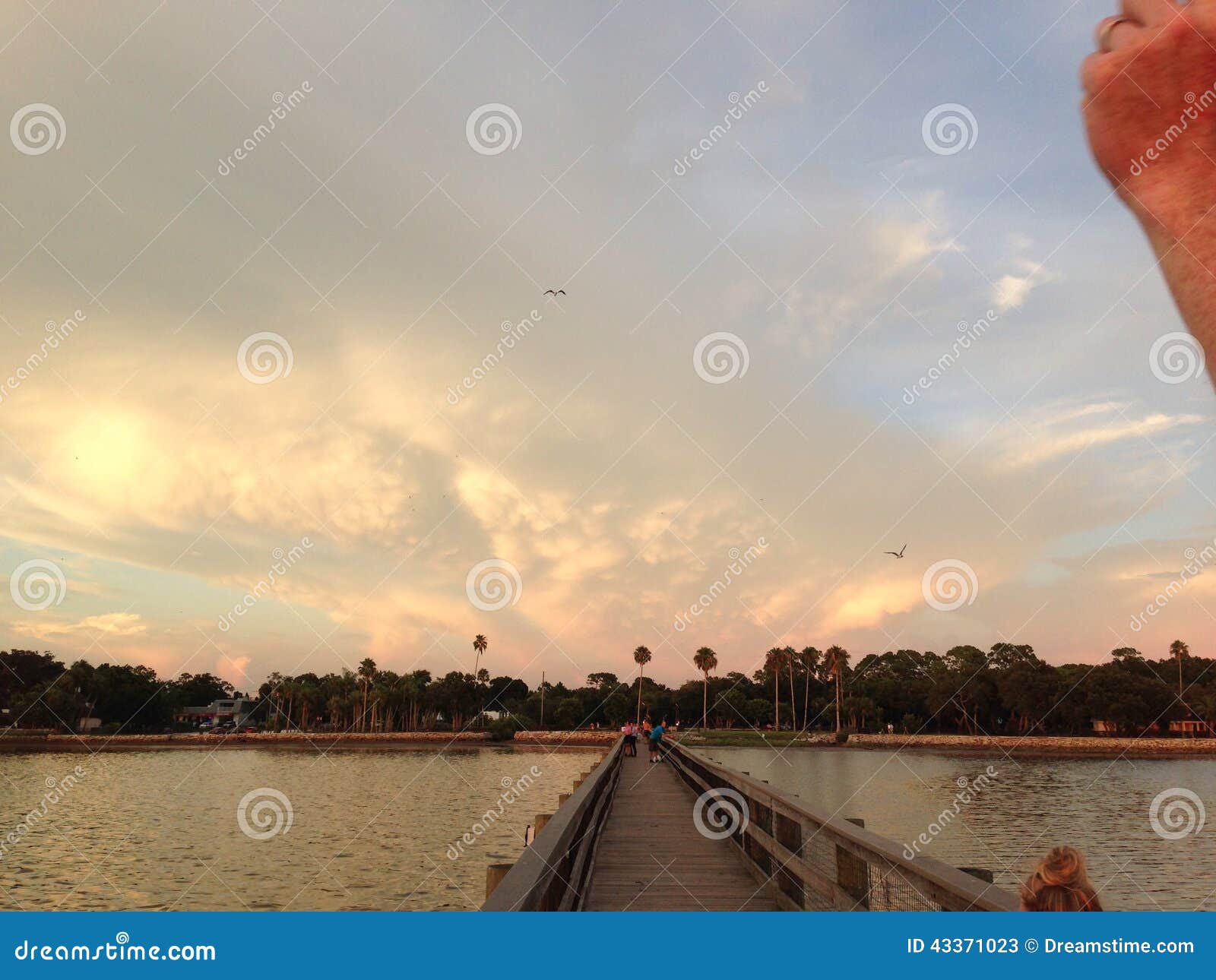 Setting sun editorial stock photo. Image of dunedin, afterglow - 43371023