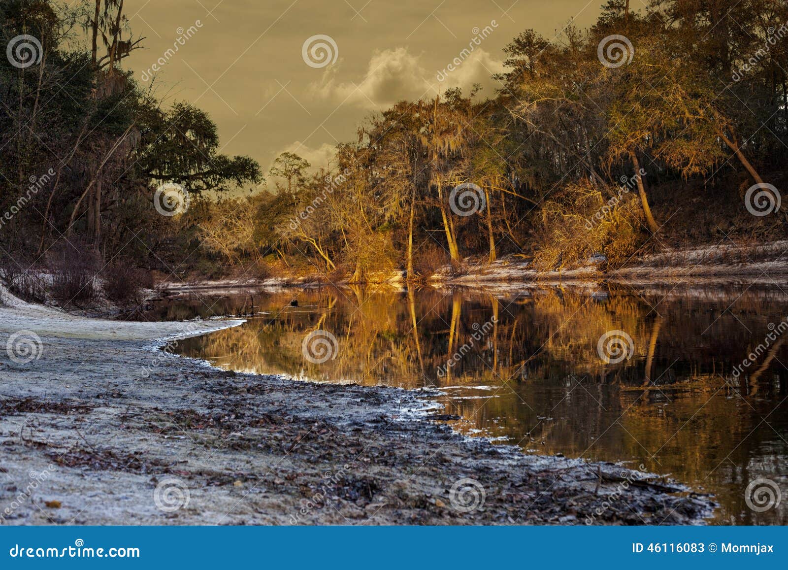 Setting Sun on the Suwanee River Stock Image - Image of tranquil ...