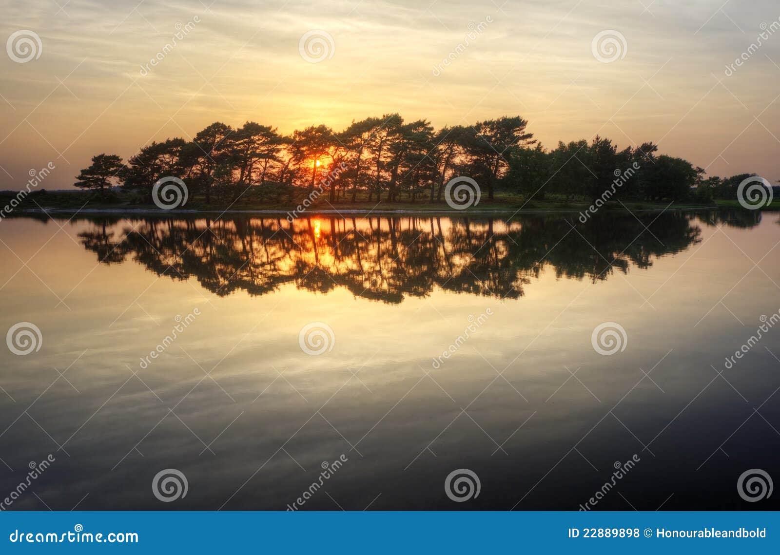 Setting Sun through Trees and Reflected in Lake Stock Photo - Image of ...