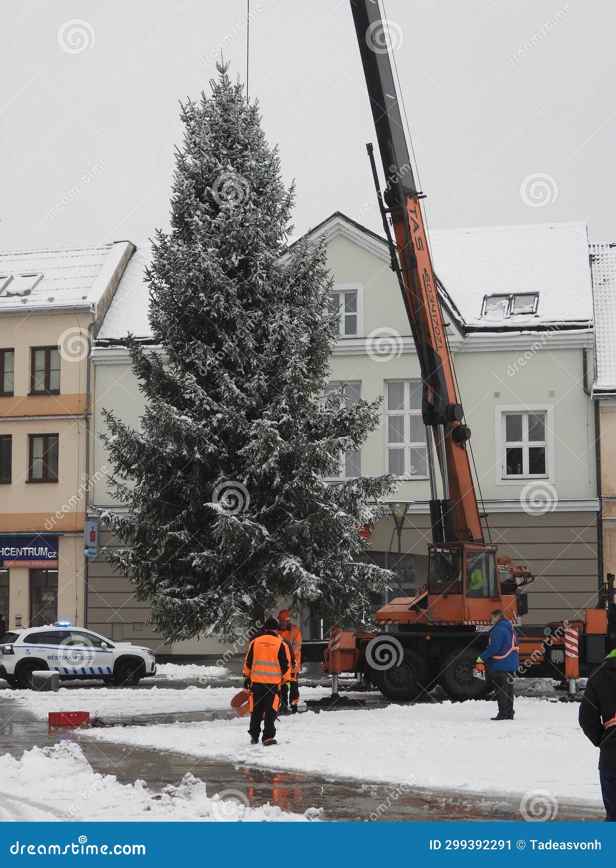 Setting Up the Christmas Tree on the Square Editorial Photo - Image of ...