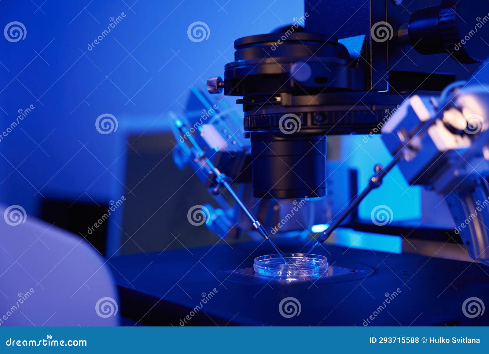 Setup Applied for ICSI Procedure in Lab Setting Stock Photo - Image of ...