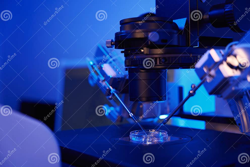 Setup Applied for ICSI Procedure in Lab Setting Stock Photo - Image of ...