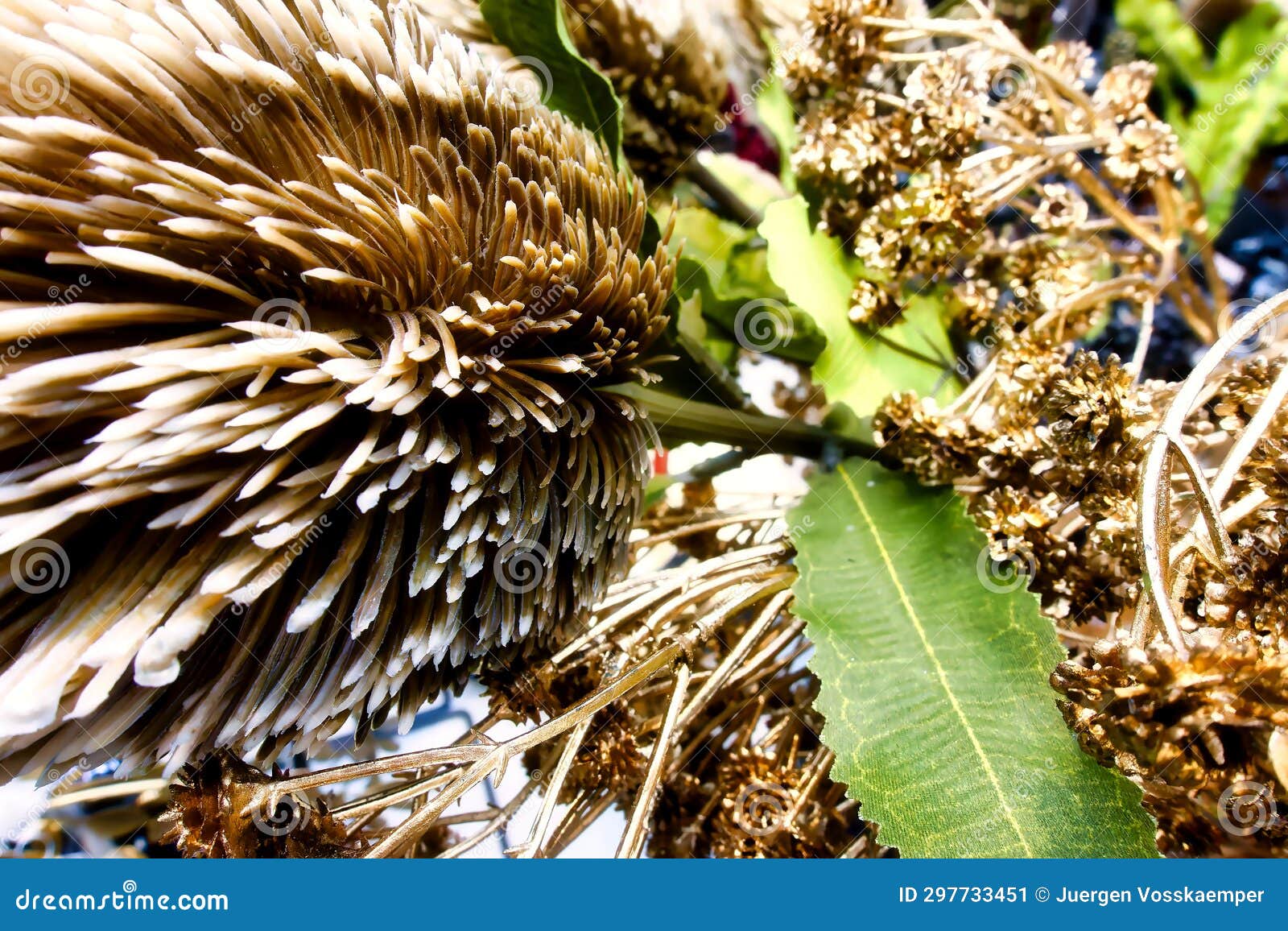 A Setup for Decoration Purposes Like Xmas with Different Accessories ...