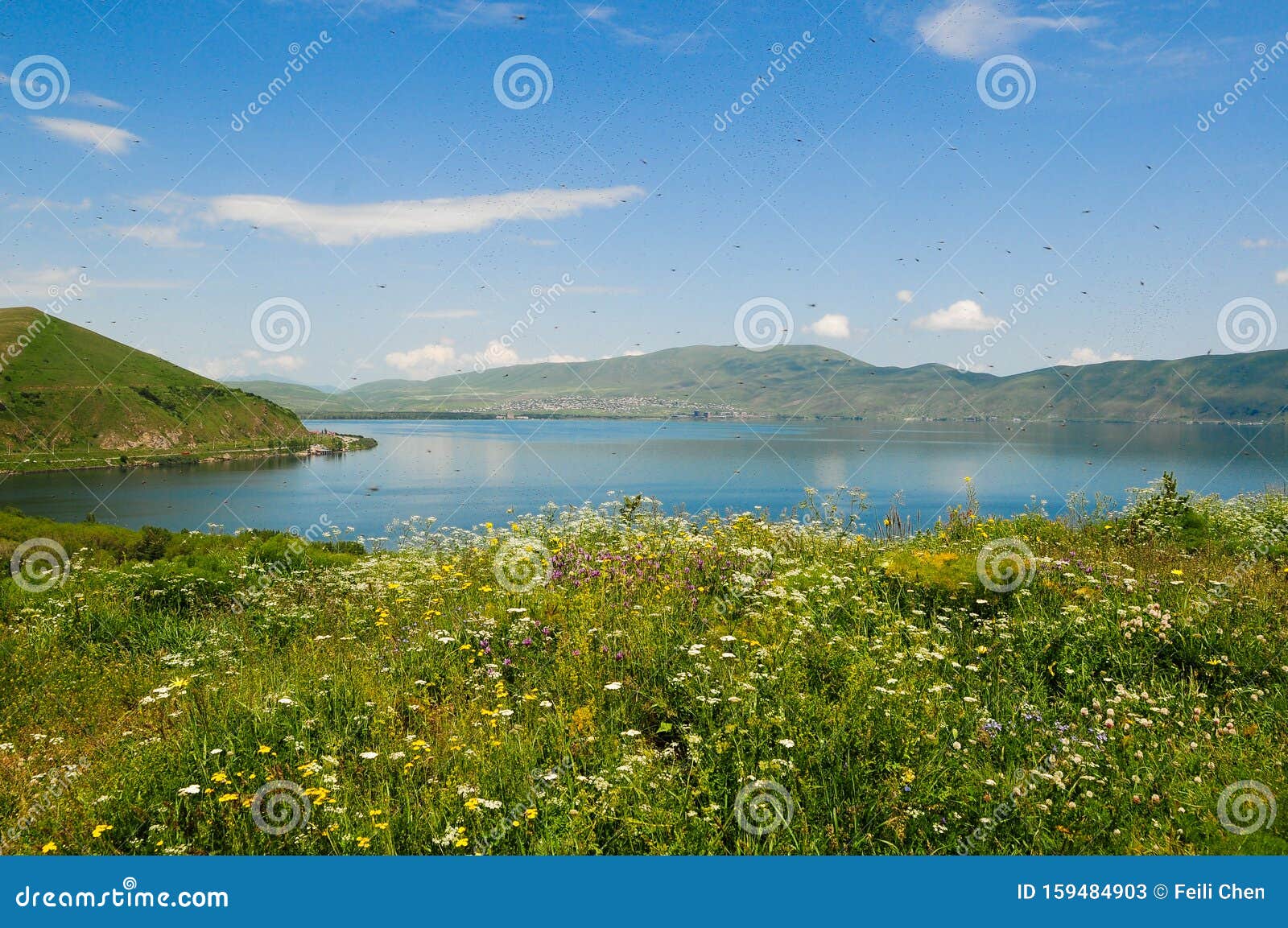 Sevan lake in summer stock image. Image of armenian - 159484903