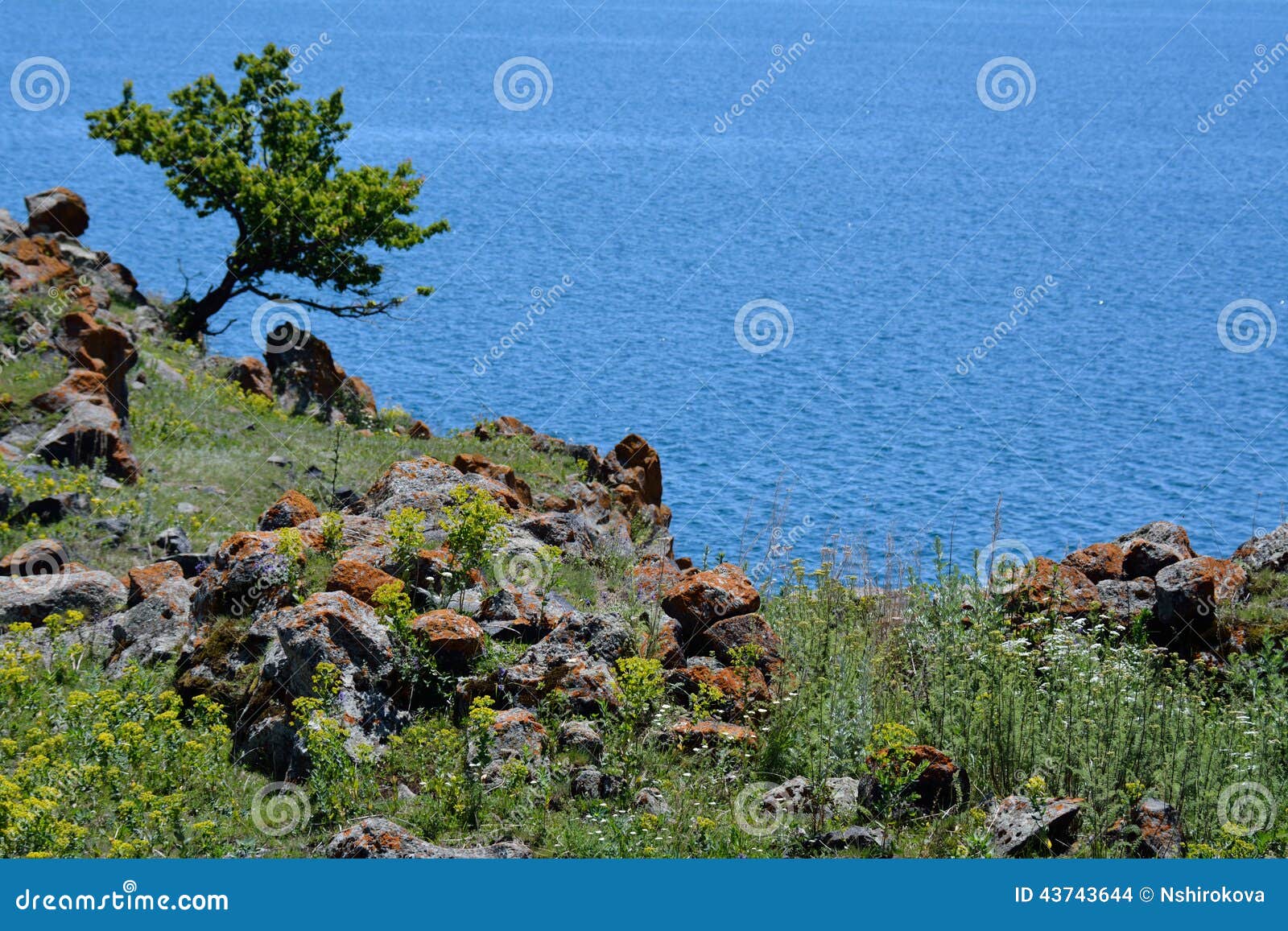 Sevan view stock photo. Image of grass, lake, water, hill - 43743644
