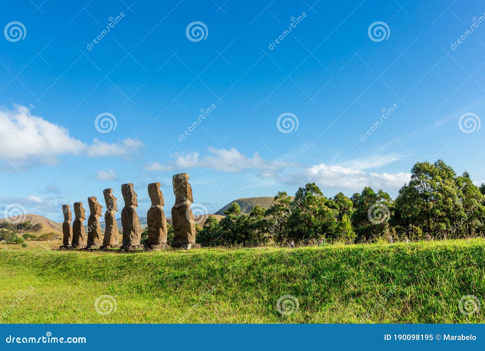 Seven Ahu Akivi Moai, Which are the only Moai To Face the Sea. Easter ...