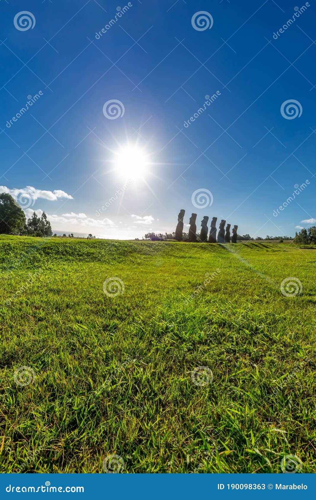 Seven Ahu Akivi Moai, Which are the only Moai To Face the Sea. Easter ...