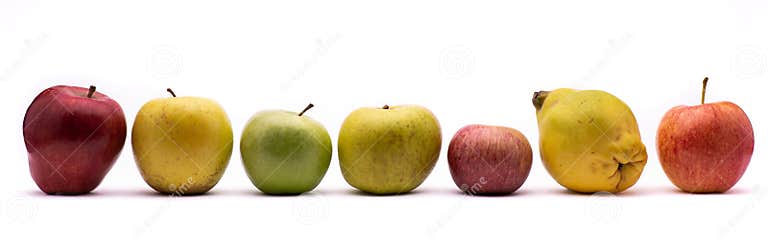 Panoramic Composition with Seven Different Types of Apples Stock Photo ...