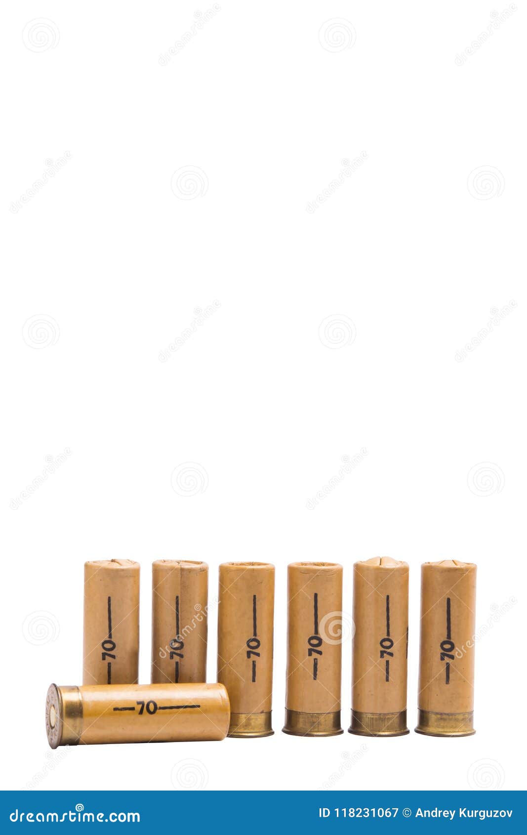 Seven Cartridges for Double-barreled Weapons, on White Stock Image ...