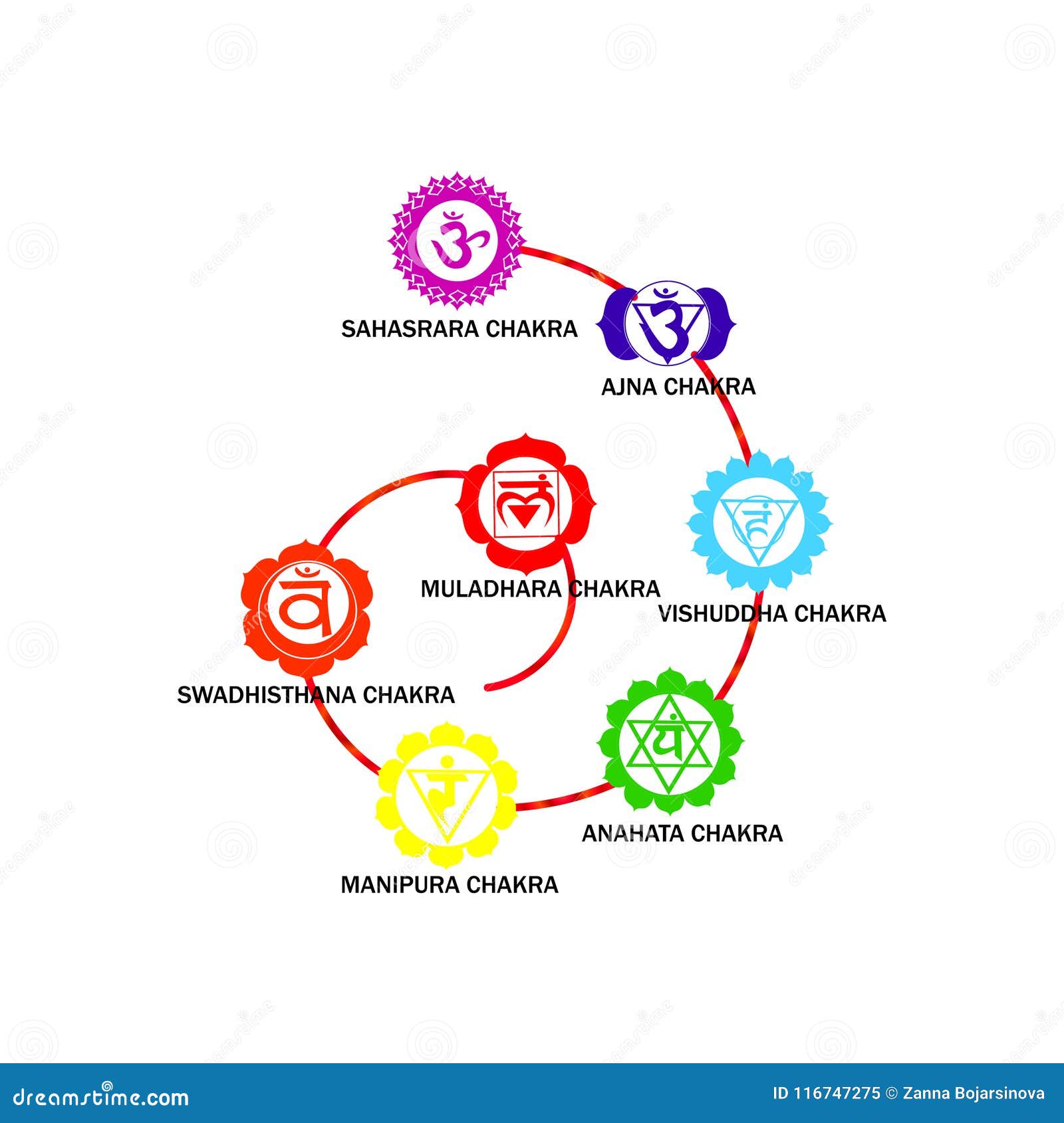 Seven Chakras Vector Illustration Stock Vector - Illustration of india ...