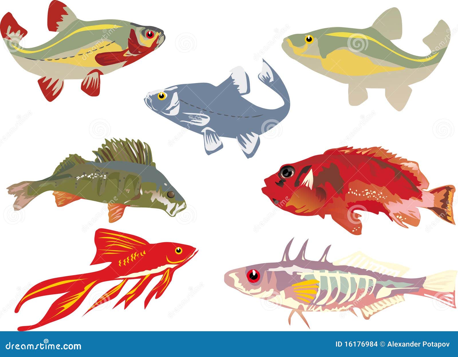 Seven Color Fishes Collection Stock Vector - Illustration of scale ...