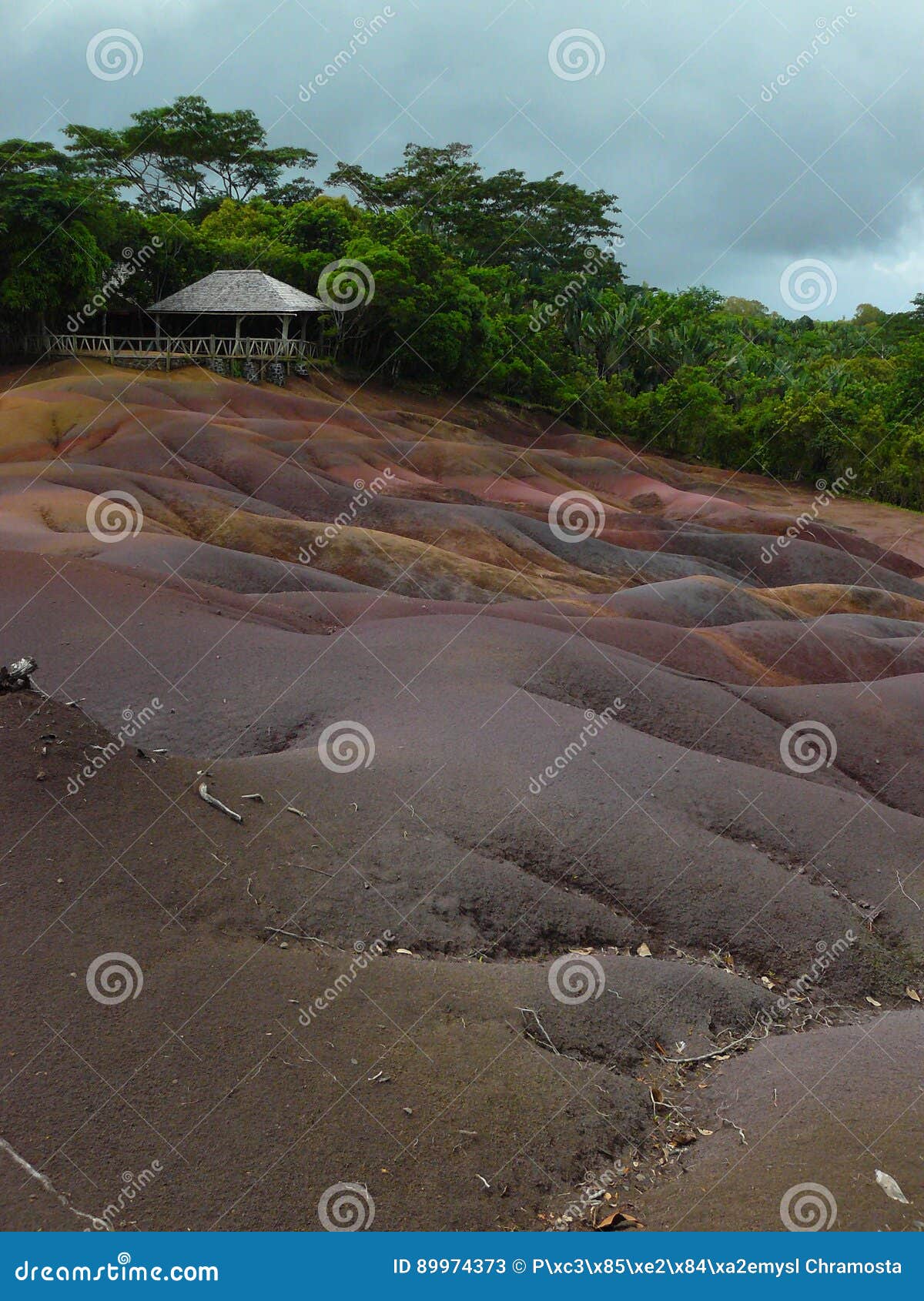 Seven Color Land Mauritius Summer Tree Stock Image - Image of nature ...
