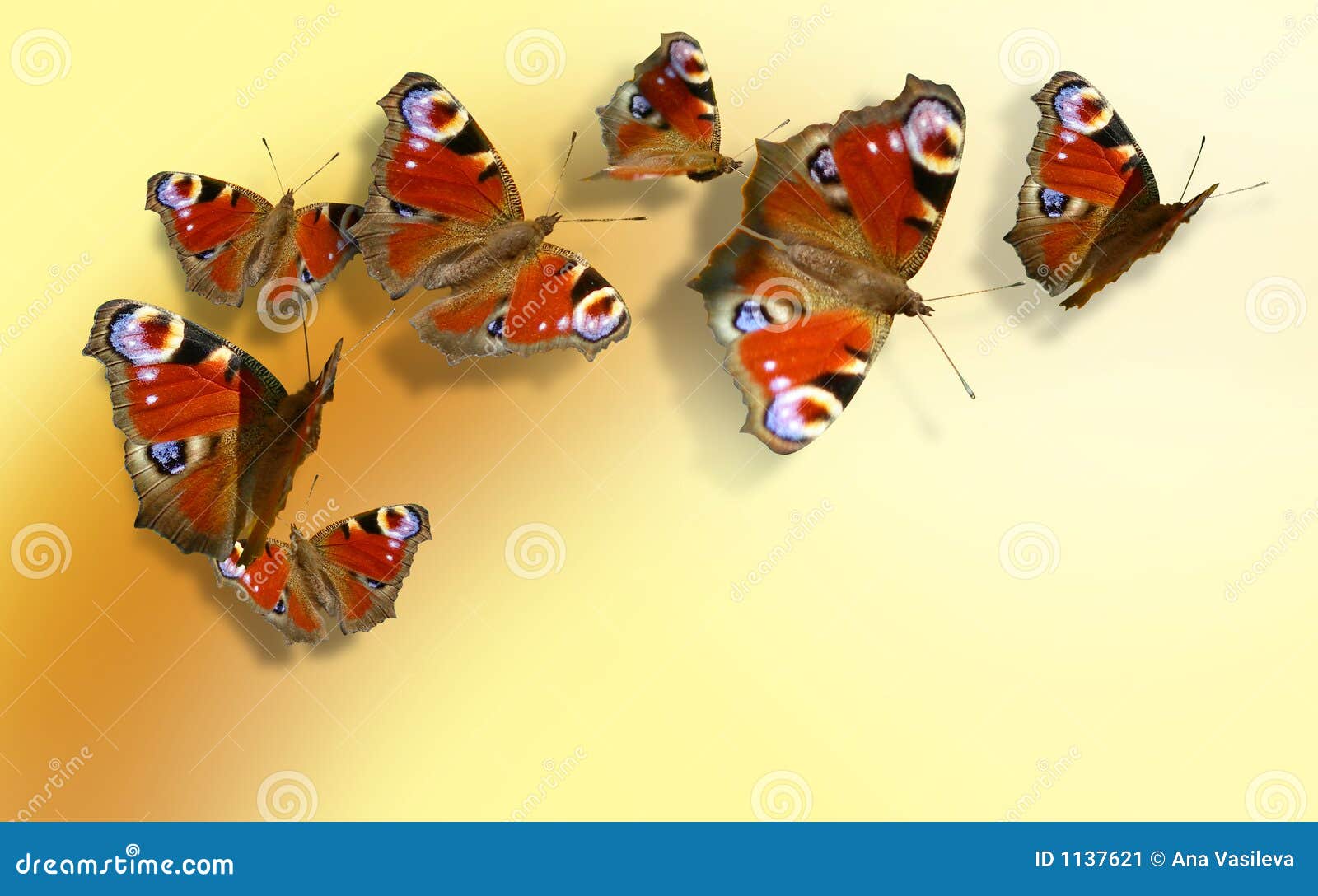 Seven Colorful Butterflies on Yellow-orange Background Stock Image ...