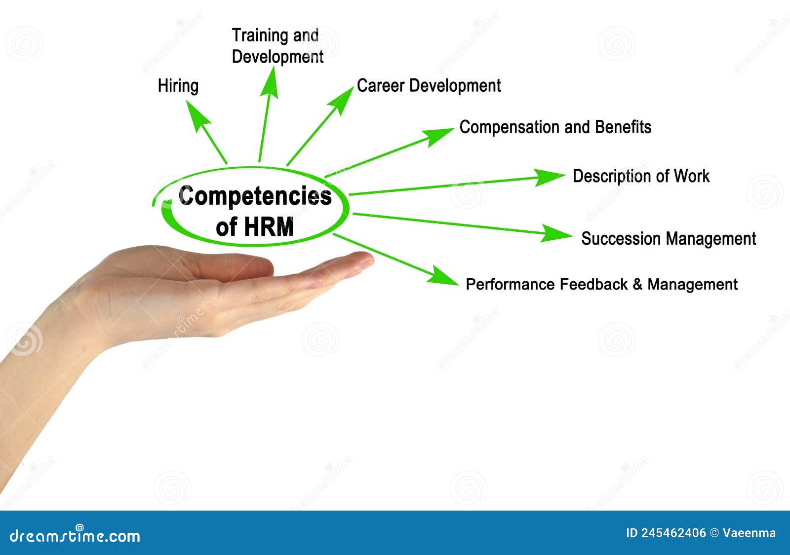 Competencies of HR Managers Stock Photo - Image of human, consulting ...