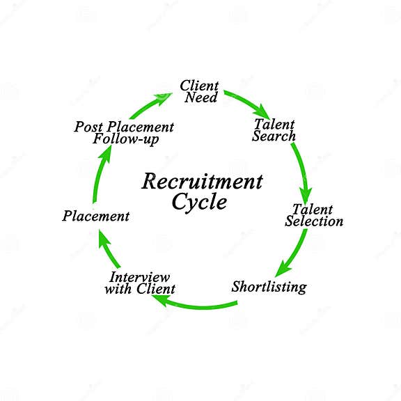 Components of Recruitment Cycle Stock Illustration - Illustration of ...