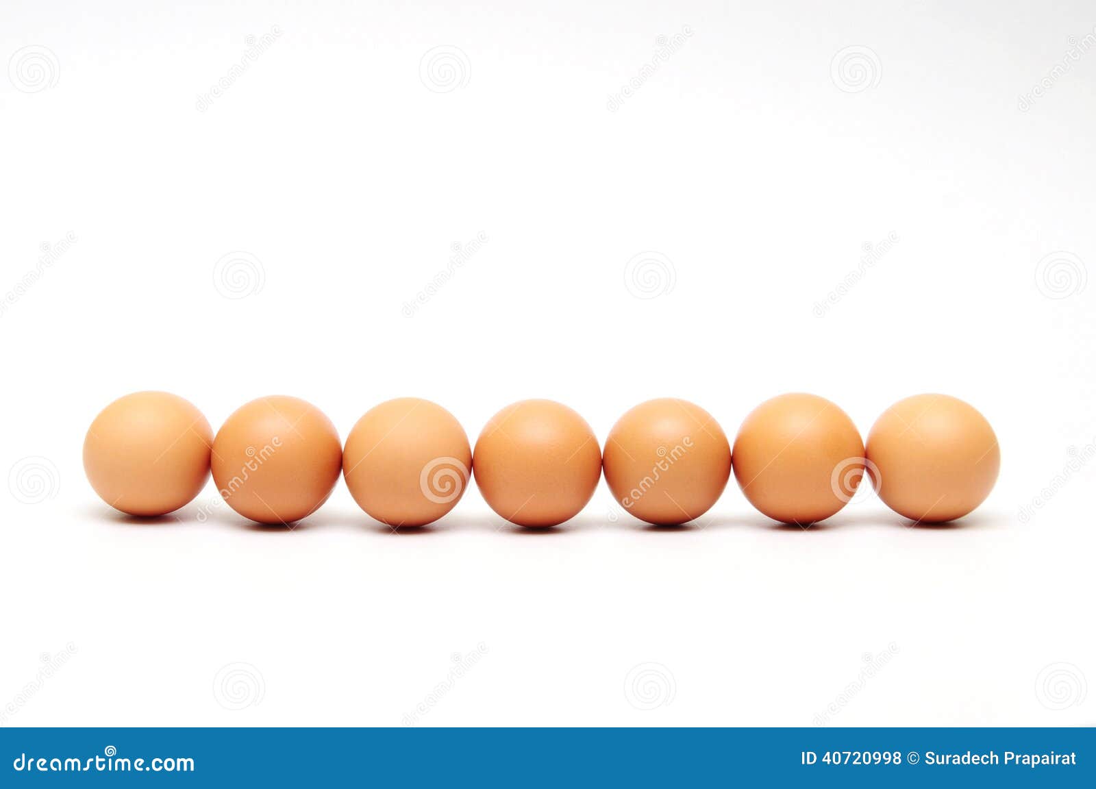 Seven eggs isolated stock photo. Image of cholesterol - 40720998