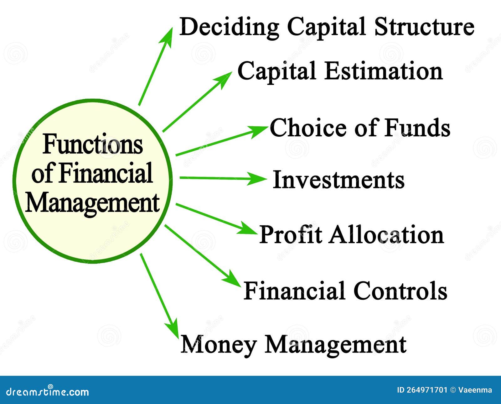 Functions of Financial Management Stock Illustration - Illustration of ...