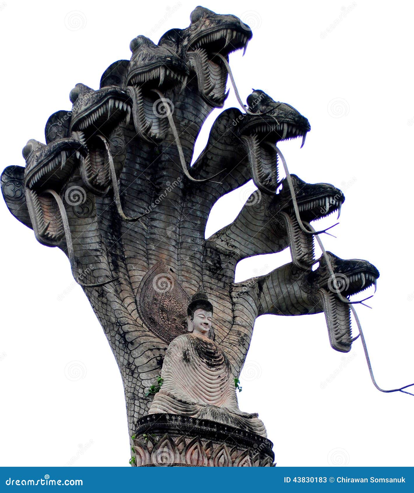 Seven-headed snake Isolate stock image. Image of religion - 43830183