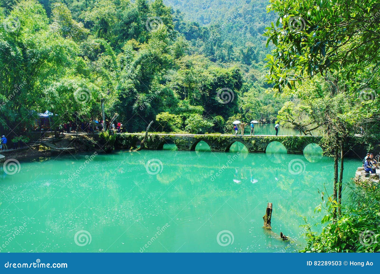 Seven Hole Bridge on Green Water Editorial Stock Photo - Image of green ...