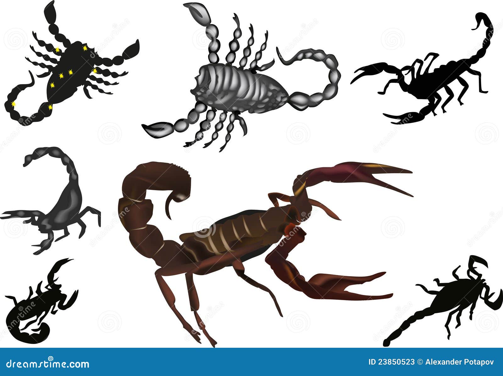 Seven isolated scorpions stock vector. Illustration of cartoon - 23850523