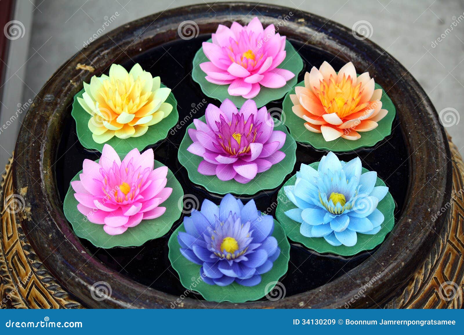 Seven lotus stock image. Image of flower, flowers, rose - 34130209