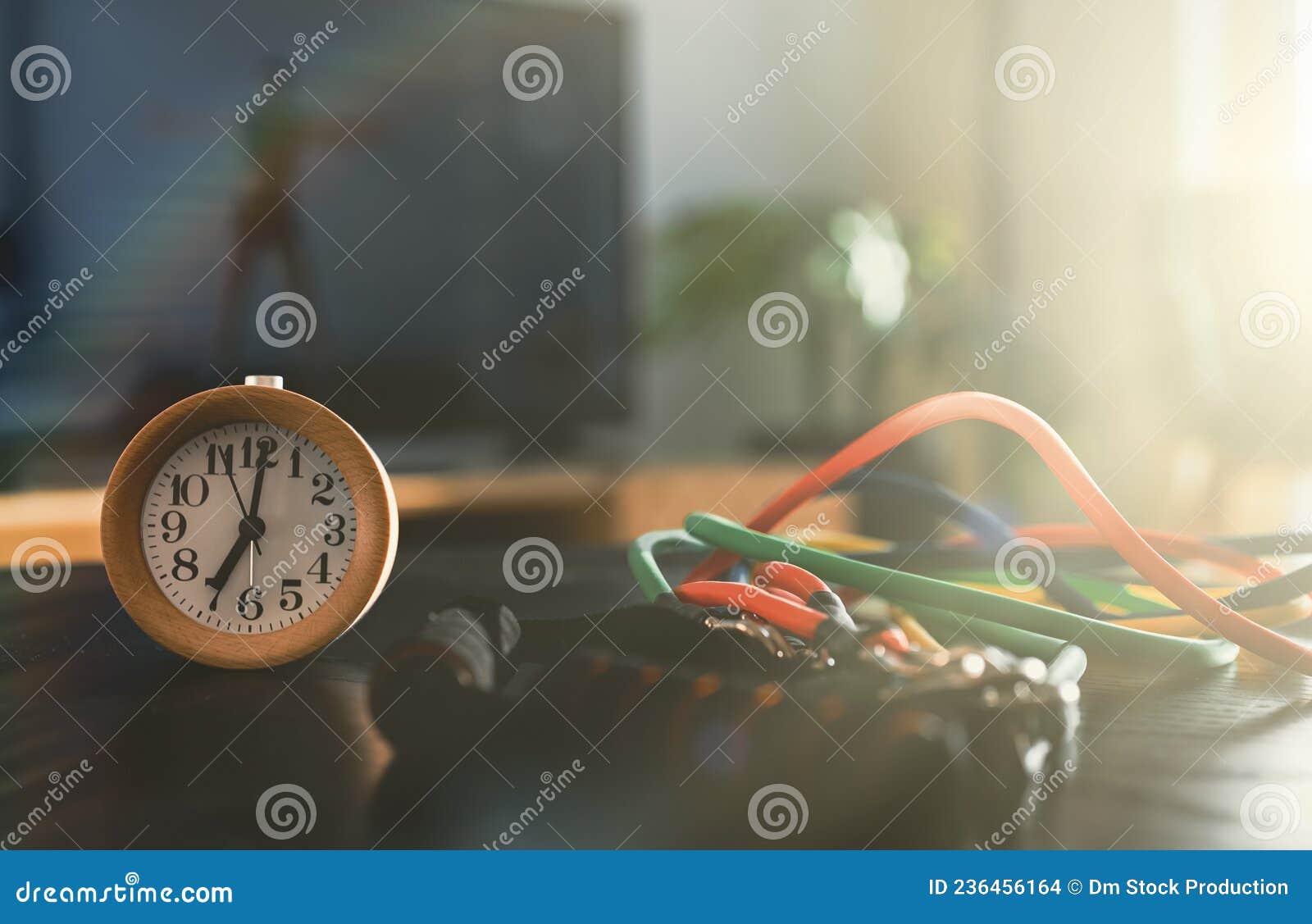 Time for morning exercises stock photo. Image of strength - 236456164