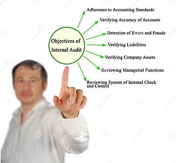 Objectives of Internal Audit Stock Photo - Image of person, reviewing ...