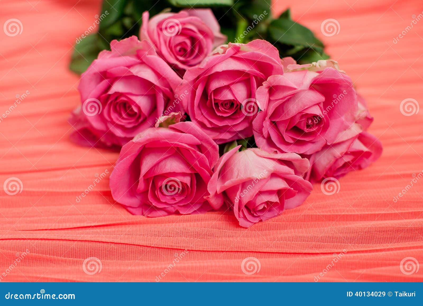 Seven Pink Roses on Red Background Stock Image - Image of pastel, green ...