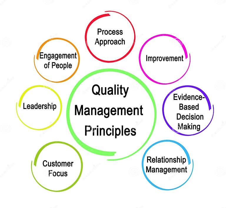 Seven Quality Management Principles Stock Illustration - Illustration ...