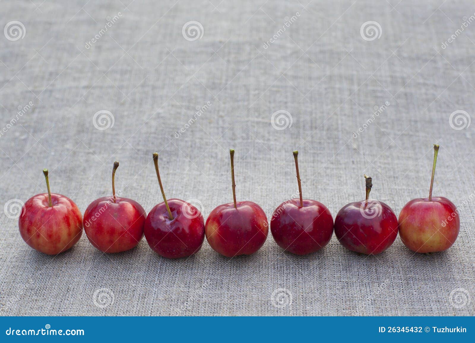 Seven red apples on cloth stock photo. Image of seven - 26345432