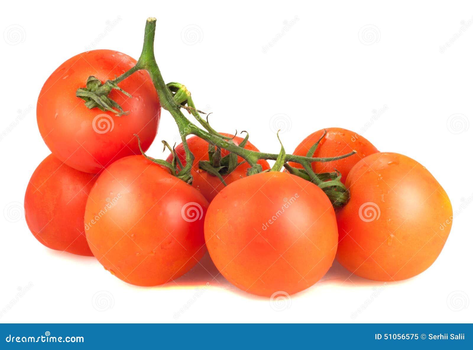 Seven Ripe Tomatoes on a White Background Stock Image - Image of fruits ...
