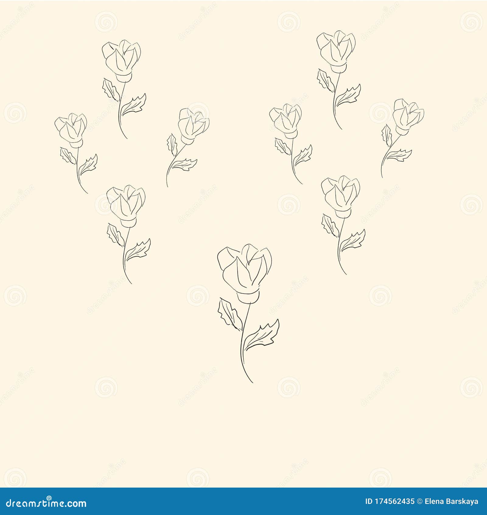 Seven Roses in the Form of a Sketch Drawing with a Black Outline Stock ...