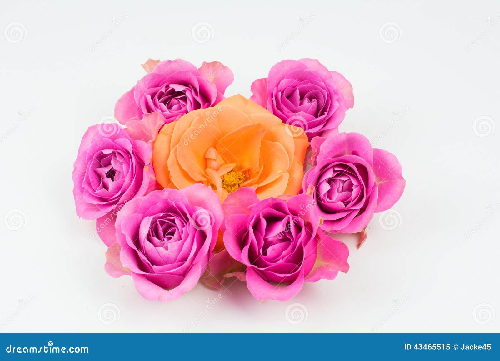 Seven Roses. stock image. Image of white, blooms, close - 43465515