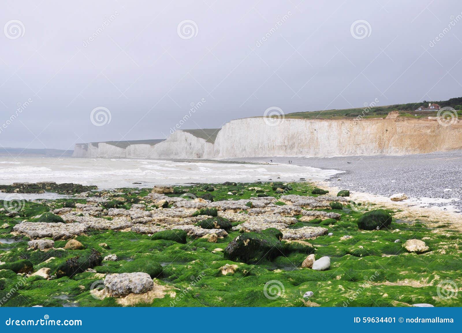 Seven Sisters White Chalk Cliffs at Birling Gap Beach Stock Image ...