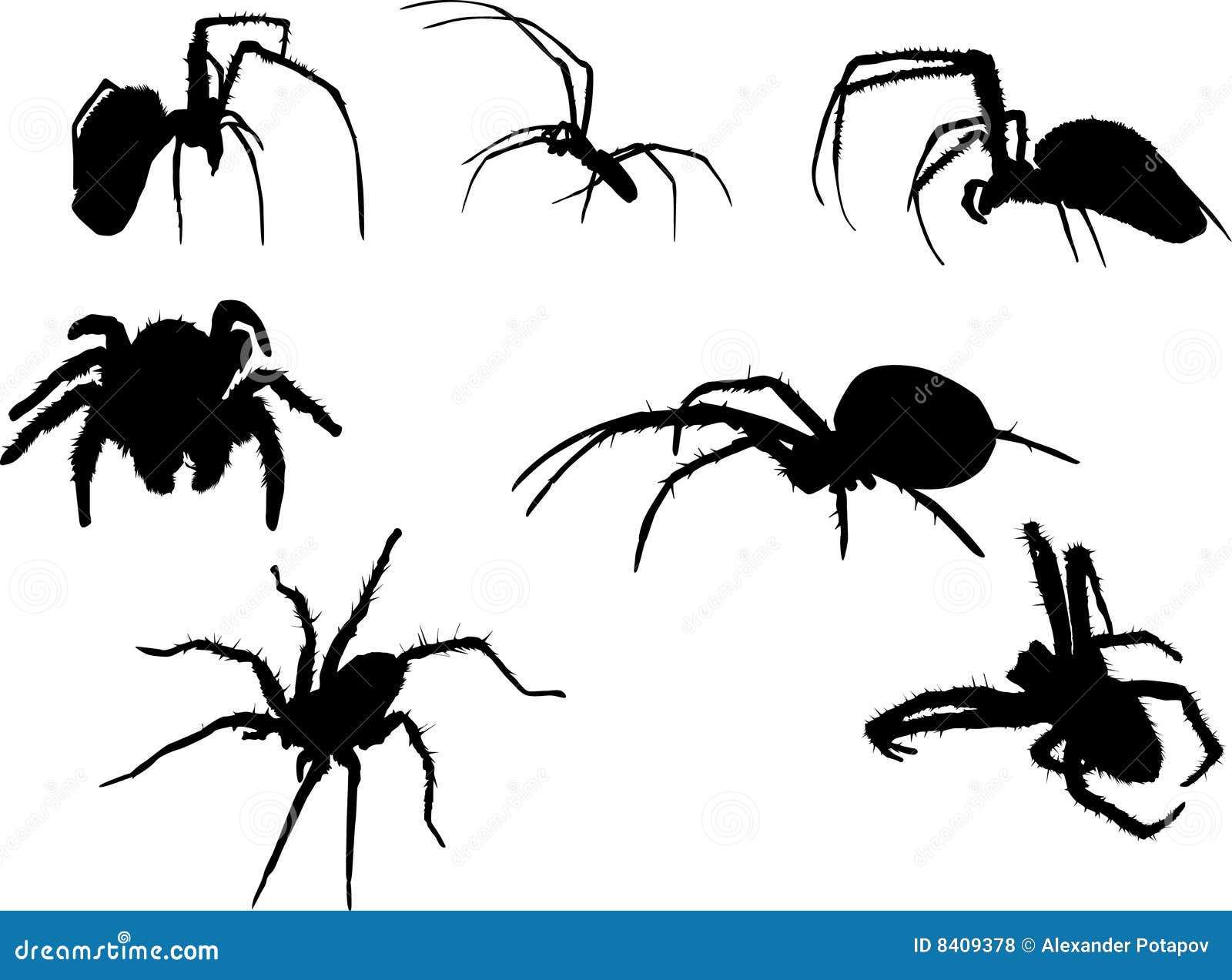 Seven spider silhouettes stock illustration. Illustration of insect ...