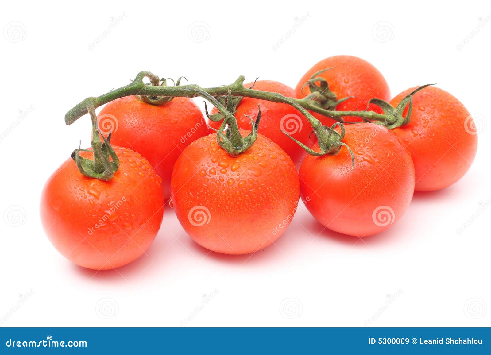 Seven tomatoes with drops stock image. Image of ripe, seven - 5300009
